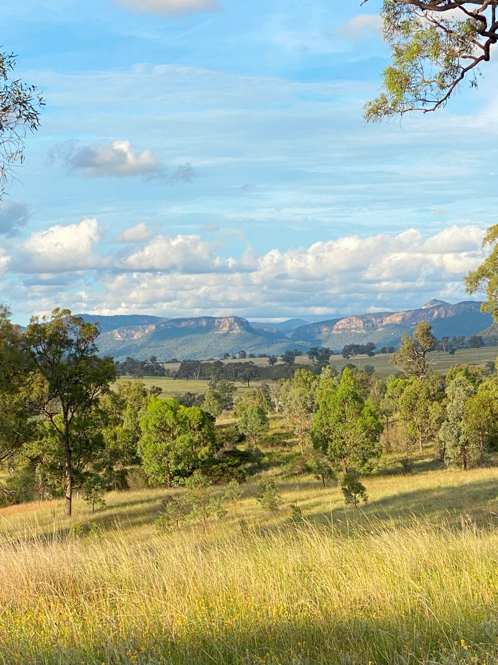 Luxury Holiday Home Accommodation Australia | Contemporary Hotels