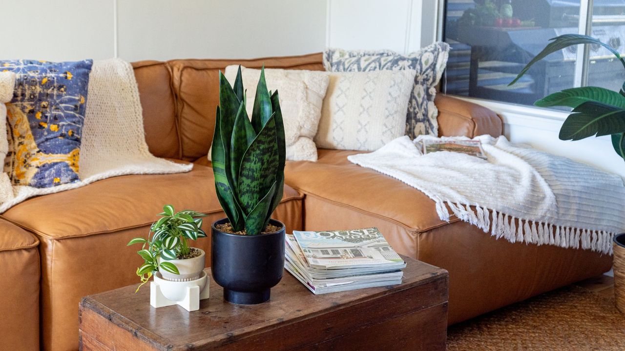 Casa Blu | Culburra Beach | Holiday Rental Specialists