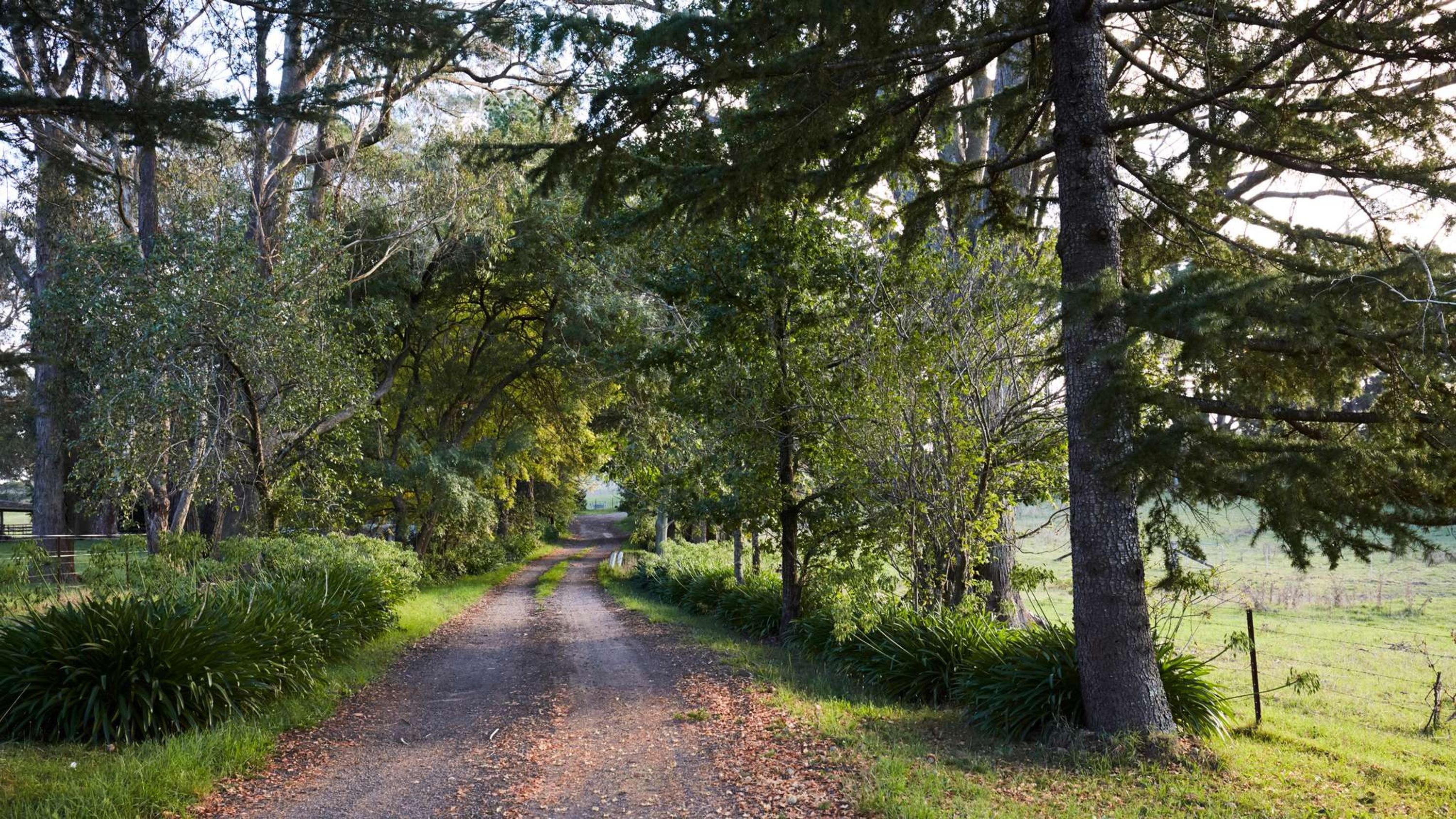 Springfield Farm | Contemporary Hotels