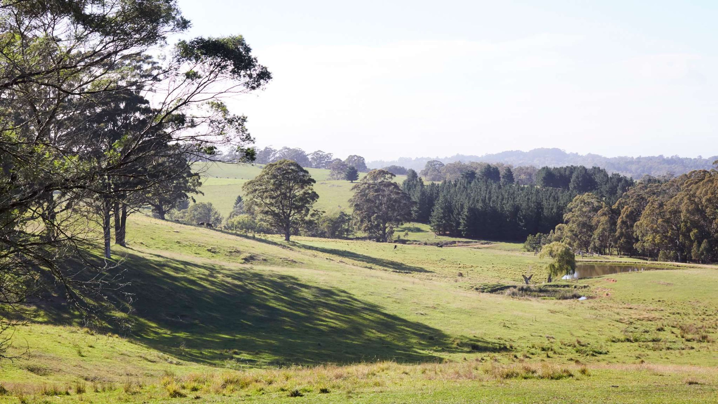 Springfield Farm | Contemporary Hotels