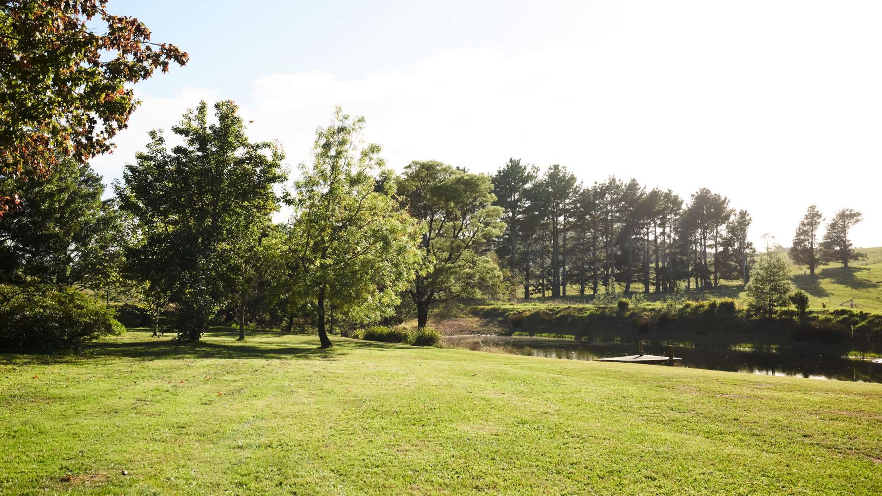 Springfield Farm | Contemporary Hotels