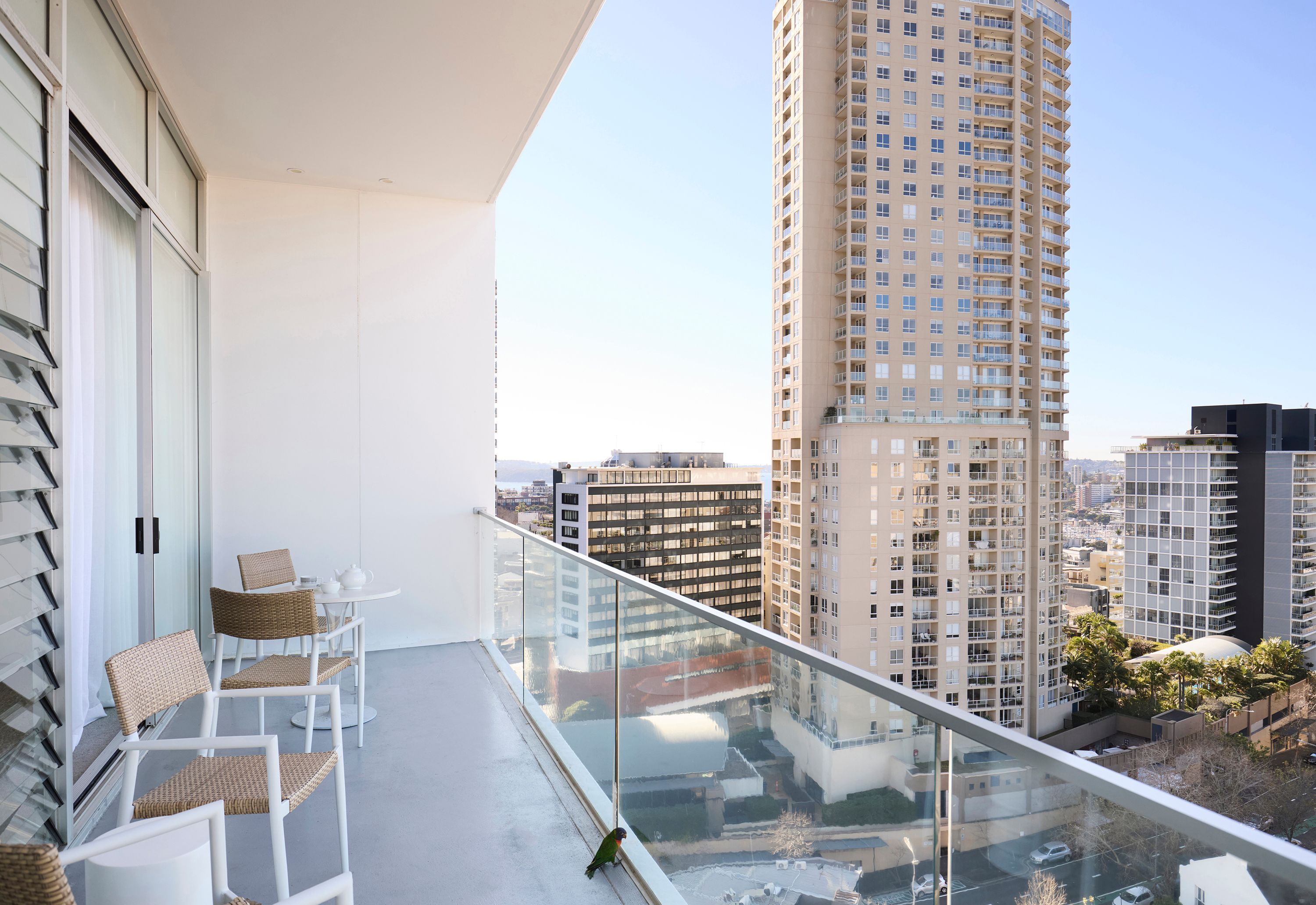 Sky Pad | Contemporary Hotels